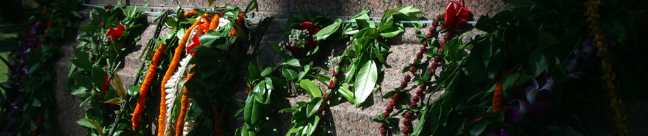 Oli, Mele, Pule, Hula - Wahi a kekahi! "According to Somebody!"Wahi a ...